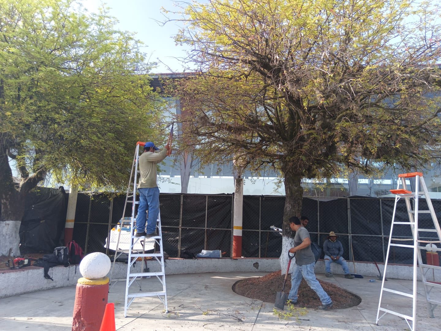 Renovación y limpieza en el parque Colonia Estación - Tenosique Tab.